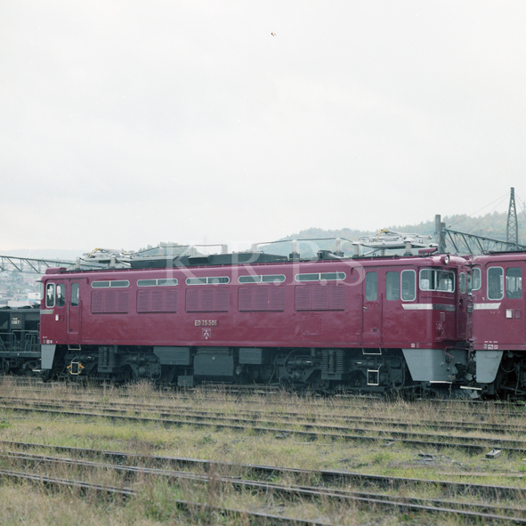ED75501